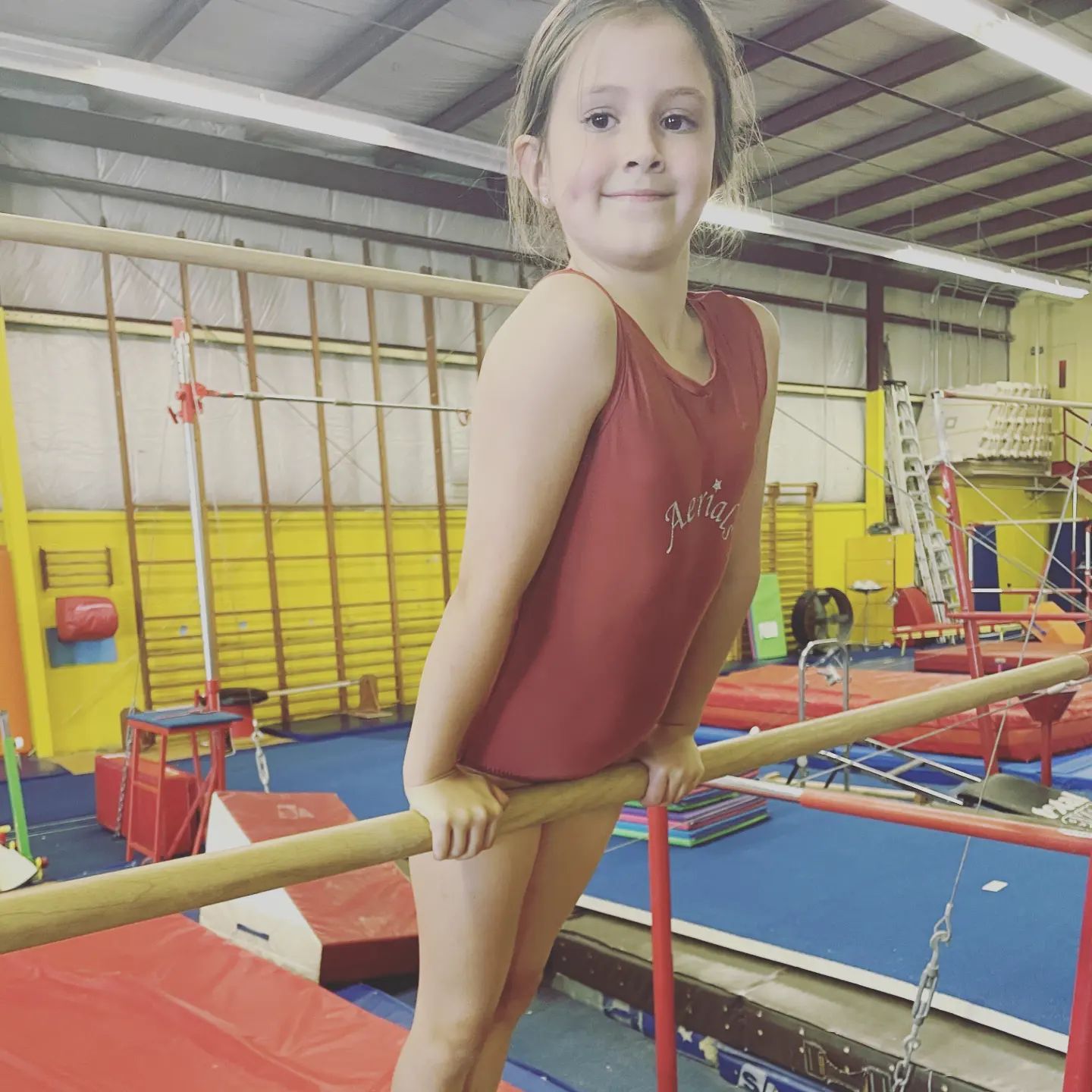 Hamilton Gymnastic Academy | Aerials Program