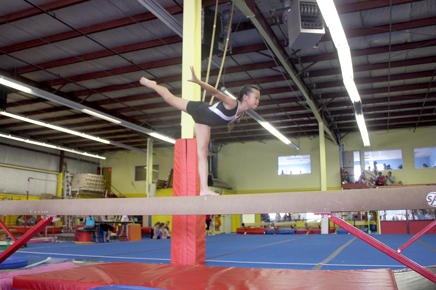 phone 905 648 3308 hamilton gymnastic academy